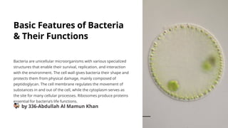 Basic-Features-of-Bacteria-and-Their-Functions(2).pptx