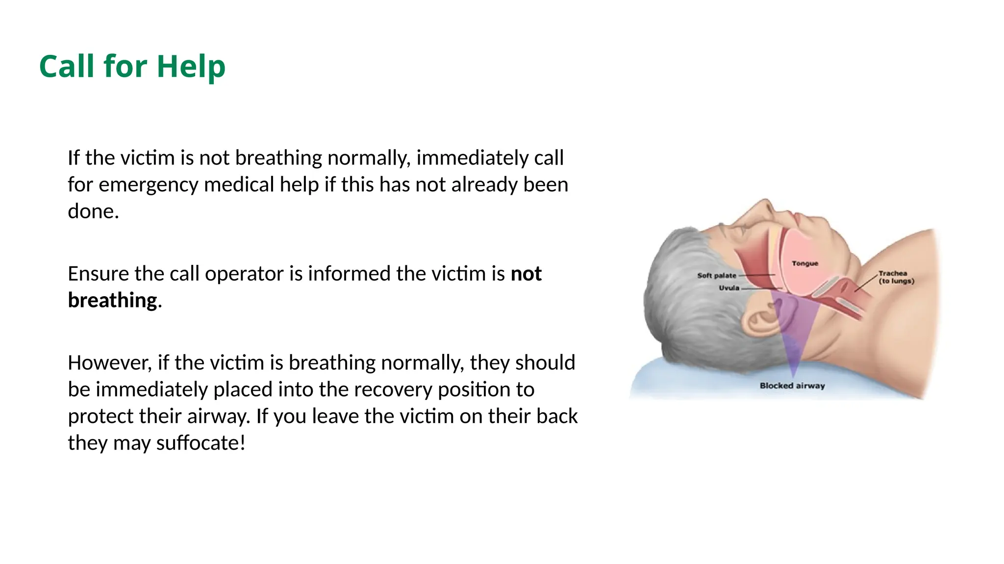 Basic--First-Aid--The Recovery--Position | PPT