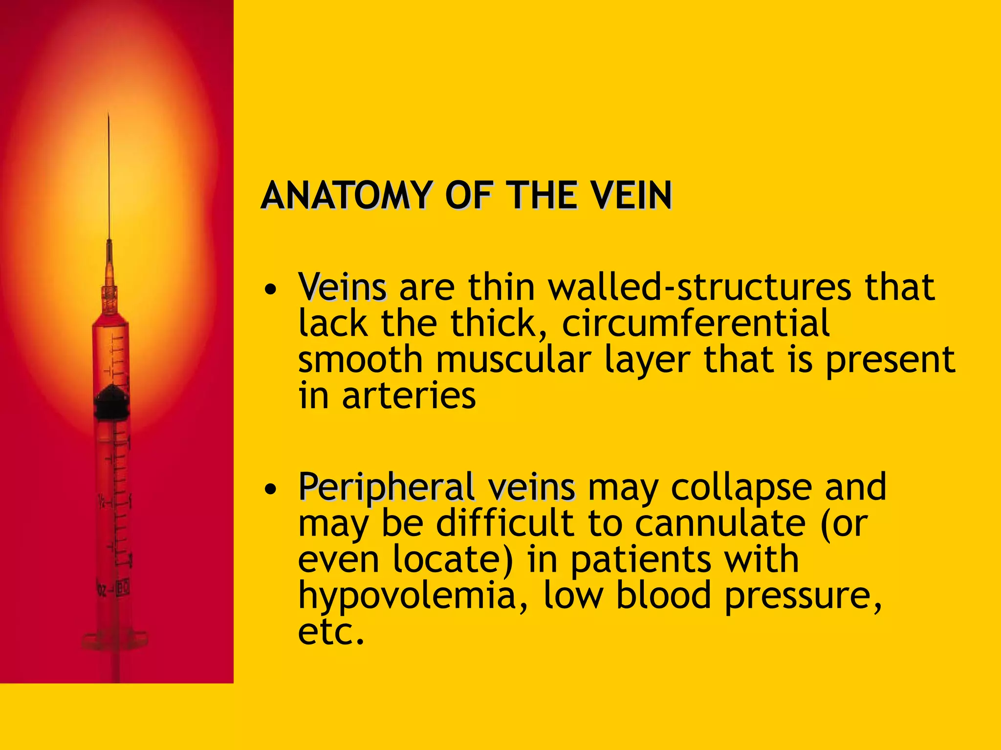Basic Intravenous Therapy 1: Anatomy | PPT