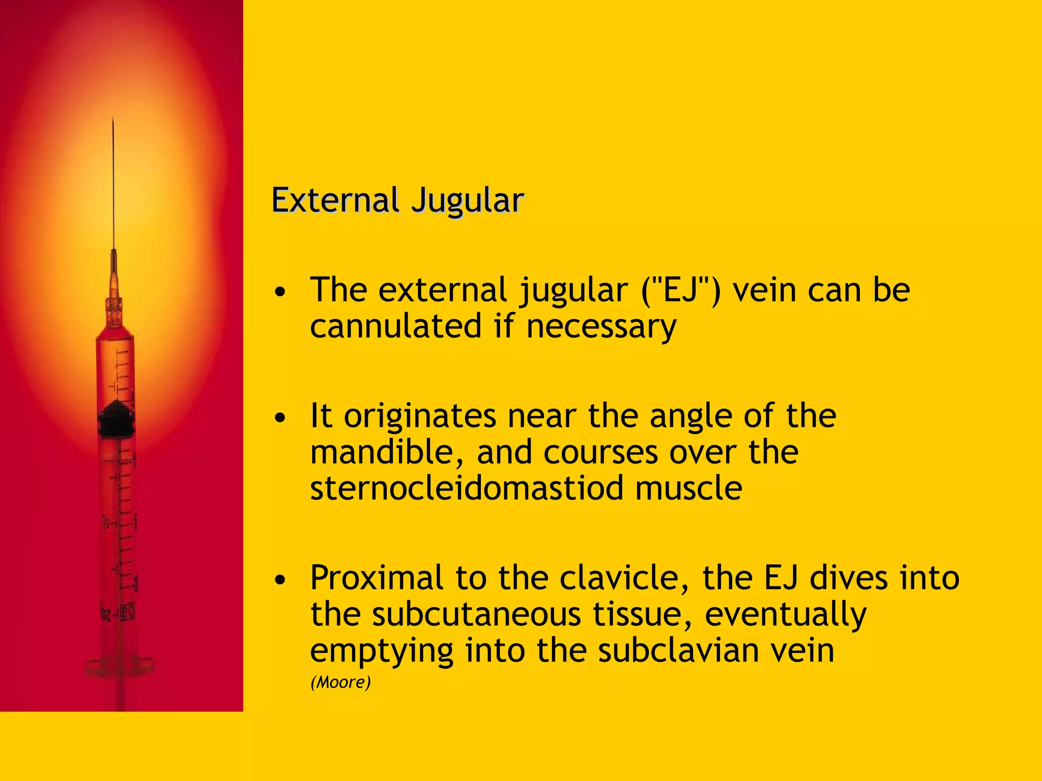 Basic Intravenous Therapy 1: Anatomy | PPT
