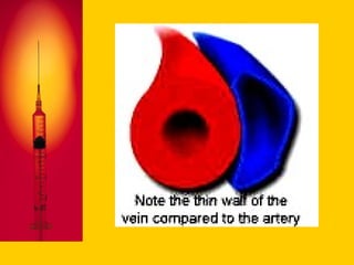 Basic Intravenous Therapy 1: Anatomy | PPT
