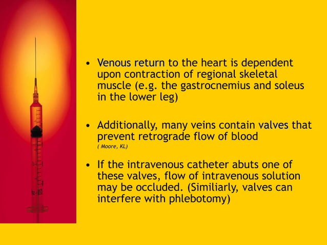 Basic Intravenous Therapy 1: Anatomy | PPT