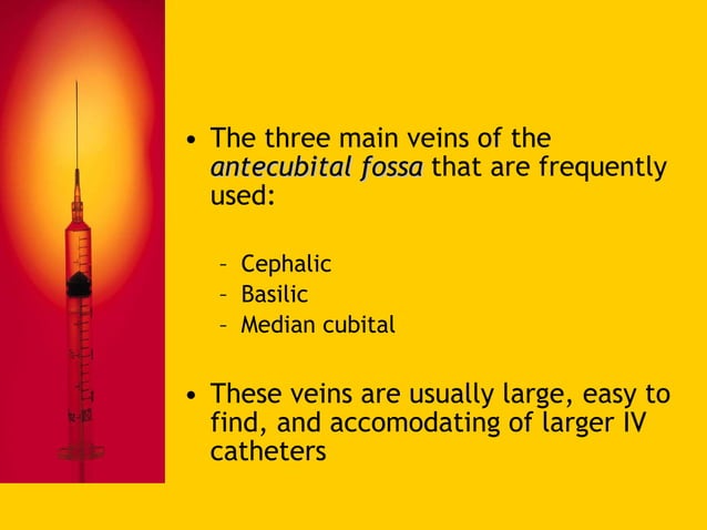 Basic Intravenous Therapy 1: Anatomy | PPT