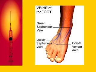 Basic Intravenous Therapy 1: Anatomy | PPT