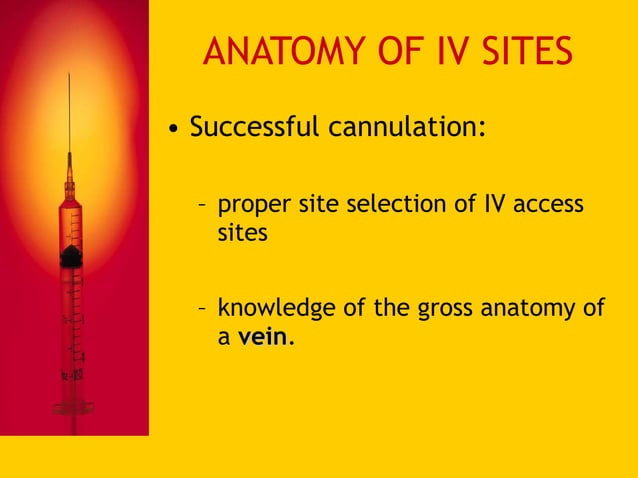 Basic Intravenous Therapy 1: Anatomy | PPT