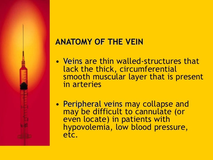 Basic Intravenous Therapy 1: Anatomy