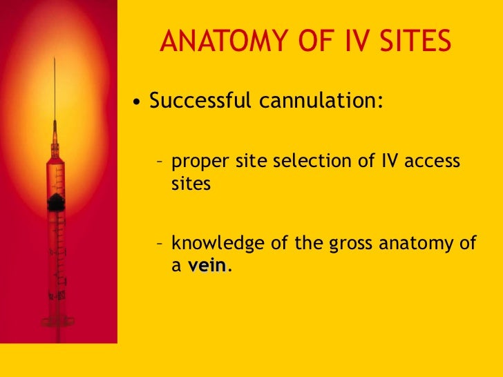 Basic Intravenous Therapy 1: Anatomy