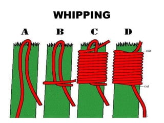 Power point presentation on Basic-Knots-HYDEE.pptx