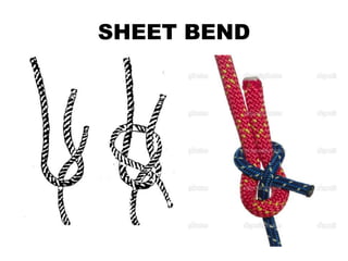 Power point presentation on Basic-Knots-HYDEE.pptx