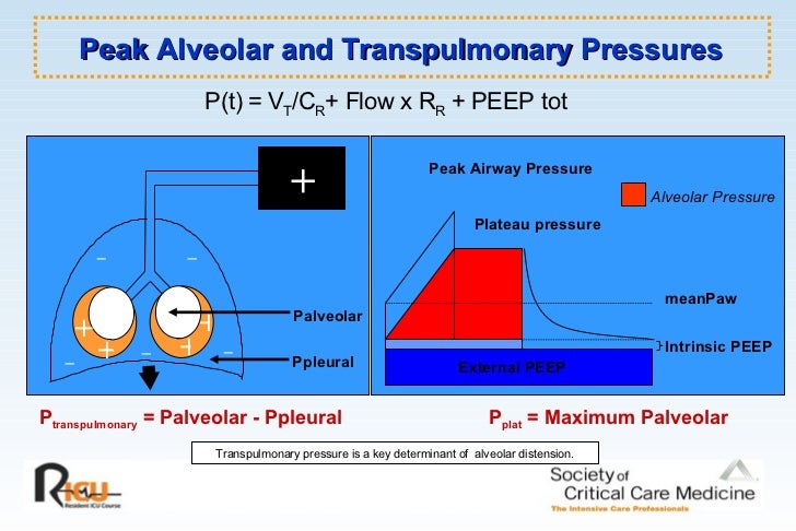 Basic Mechanical Ventilation