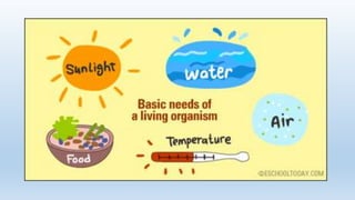 BASIC-NEEDS-OF-LIVING-THINGS AND THE ECOSYSTEM IN THE PHILIPPINES | PPTX