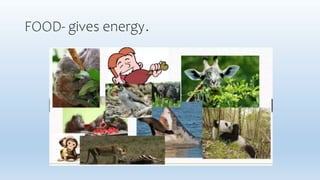 BASIC-NEEDS-OF-LIVING-THINGS AND THE ECOSYSTEM IN THE PHILIPPINES | PPTX