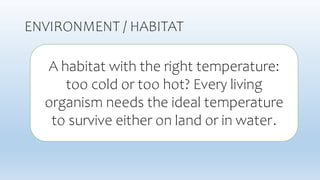 BASIC-NEEDS-OF-LIVING-THINGS AND THE ECOSYSTEM IN THE PHILIPPINES | PPTX