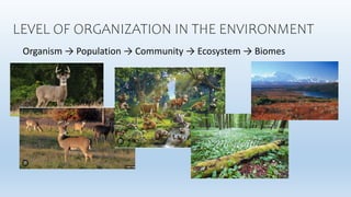 BASIC-NEEDS-OF-LIVING-THINGS AND THE ECOSYSTEM IN THE PHILIPPINES | PPTX