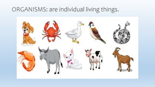 BASIC-NEEDS-OF-LIVING-THINGS AND THE ECOSYSTEM IN THE PHILIPPINES | PPTX