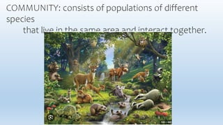 BASIC-NEEDS-OF-LIVING-THINGS AND THE ECOSYSTEM IN THE PHILIPPINES | PPTX