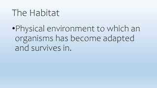 BASIC-NEEDS-OF-LIVING-THINGS AND THE ECOSYSTEM IN THE PHILIPPINES | PPTX