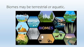BASIC-NEEDS-OF-LIVING-THINGS AND THE ECOSYSTEM IN THE PHILIPPINES | PPTX