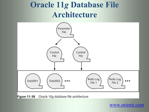 Basic oracle-database-administration | PPTX