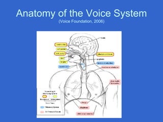 Basic Phonetics for Teachers | PPT