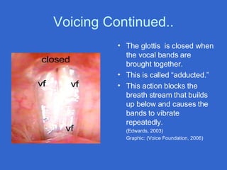 Basic Phonetics for Teachers | PPT
