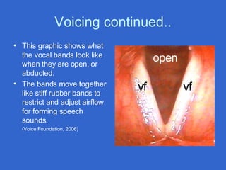 Basic Phonetics for Teachers | PPT