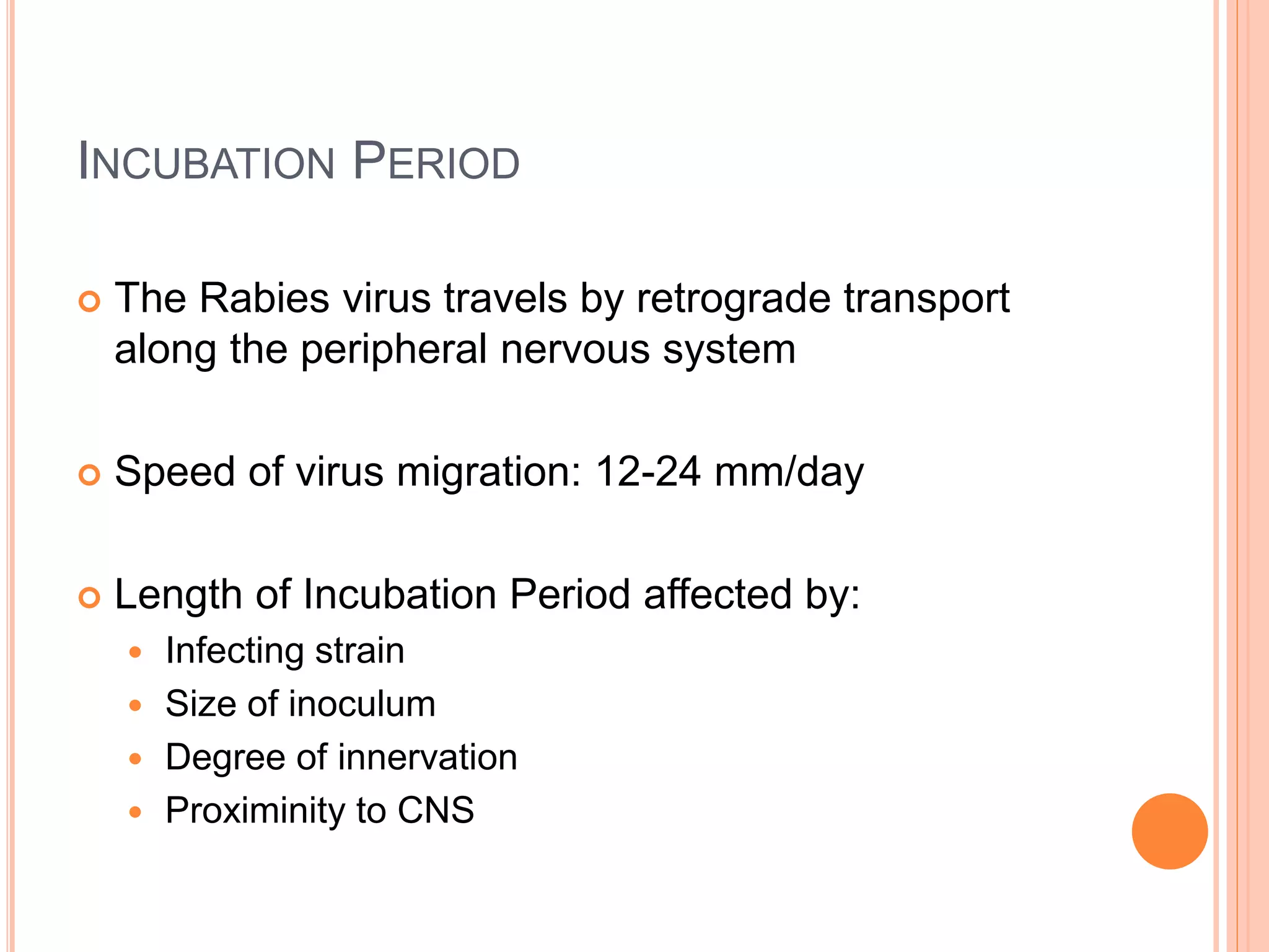 Basic rabies-for-dep ed | PPTX