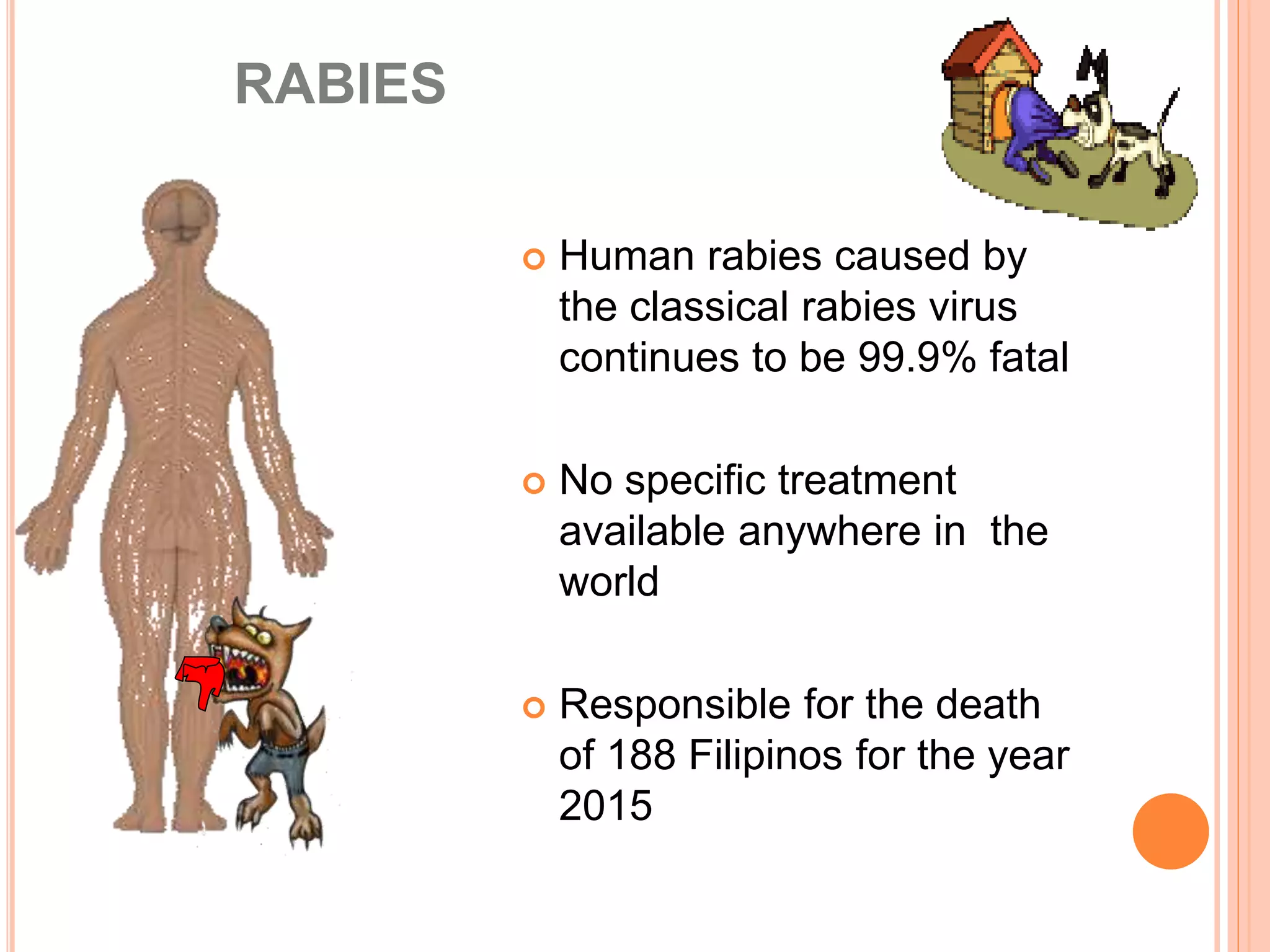 Basic rabies-for-dep ed | PPTX | Infectious Diseases | Diseases and ...