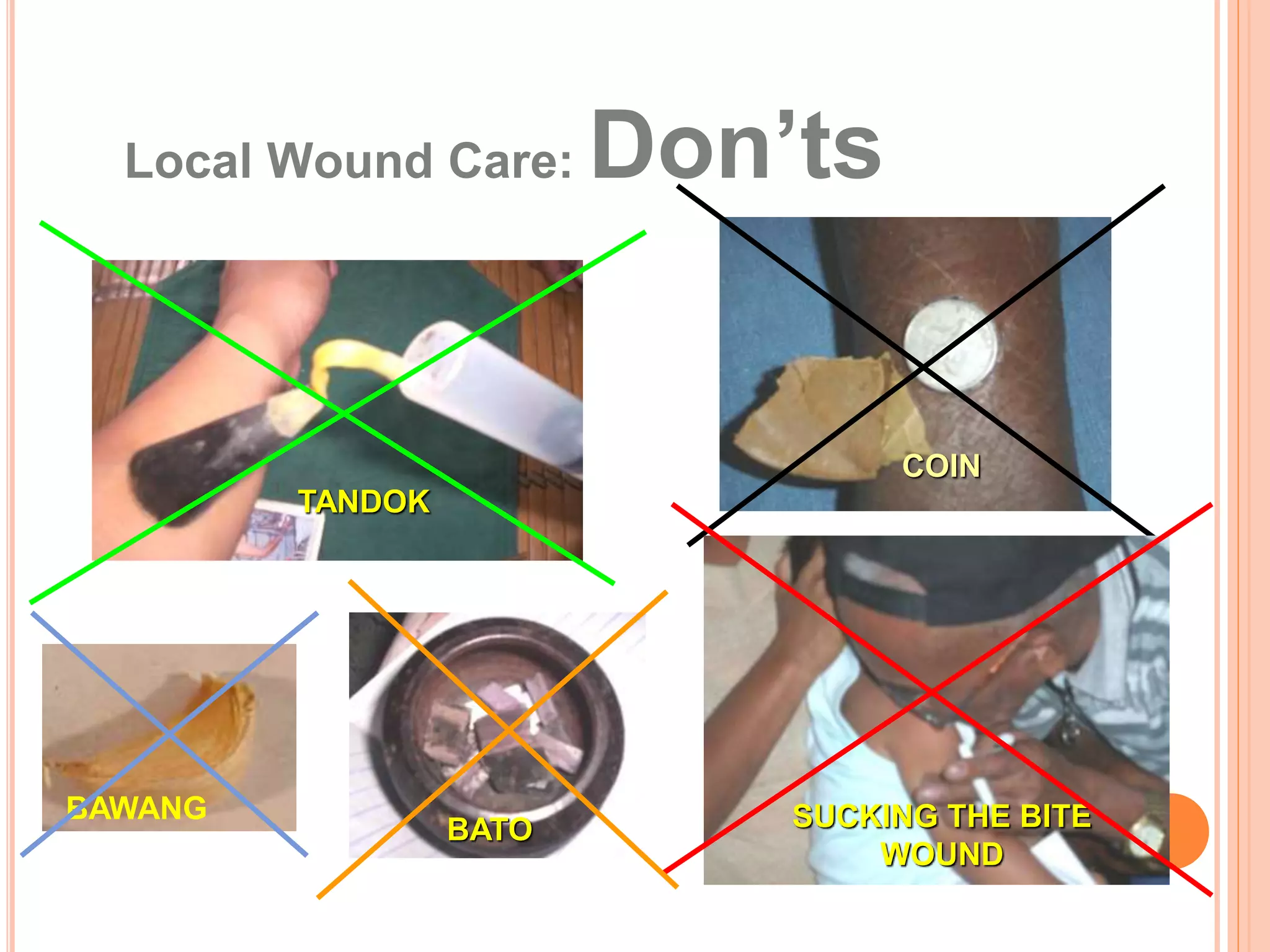 Basic rabies-for-dep ed | PPTX | Infectious Diseases | Diseases and ...