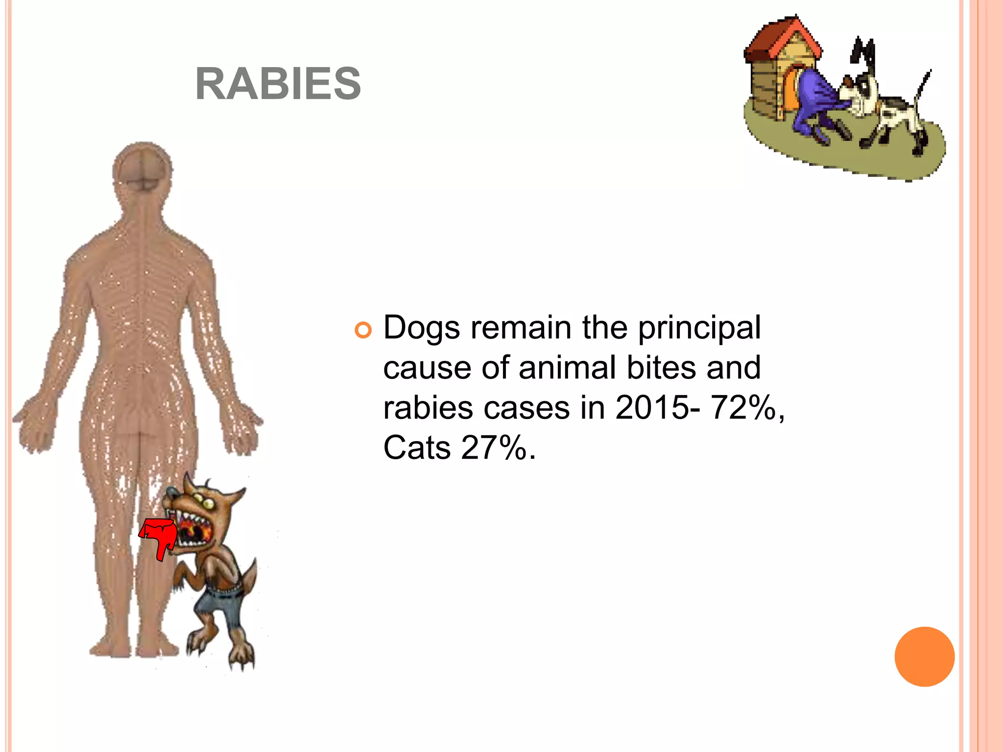 Basic rabies-for-dep ed | PPTX | Infectious Diseases | Diseases and ...