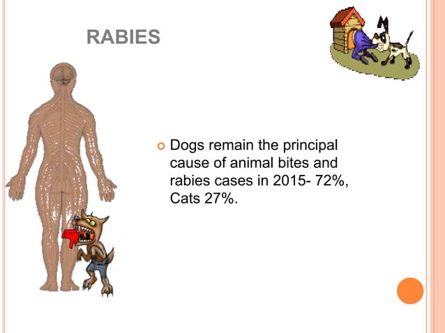 Basic rabies-for-dep ed | PPTX | Infectious Diseases | Diseases and ...