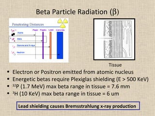 Basic Radiation Safety | PPT