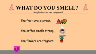 BASIC-SCIENCE-PROCESS-SKILLS - Copy.ppt