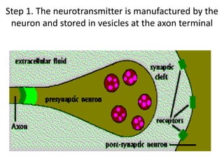 basic 1 lecture.ppt | Brain and Nervous System Disorders | Diseases and ...