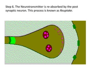 basic 1 lecture.ppt | Brain and Nervous System Disorders | Diseases and ...