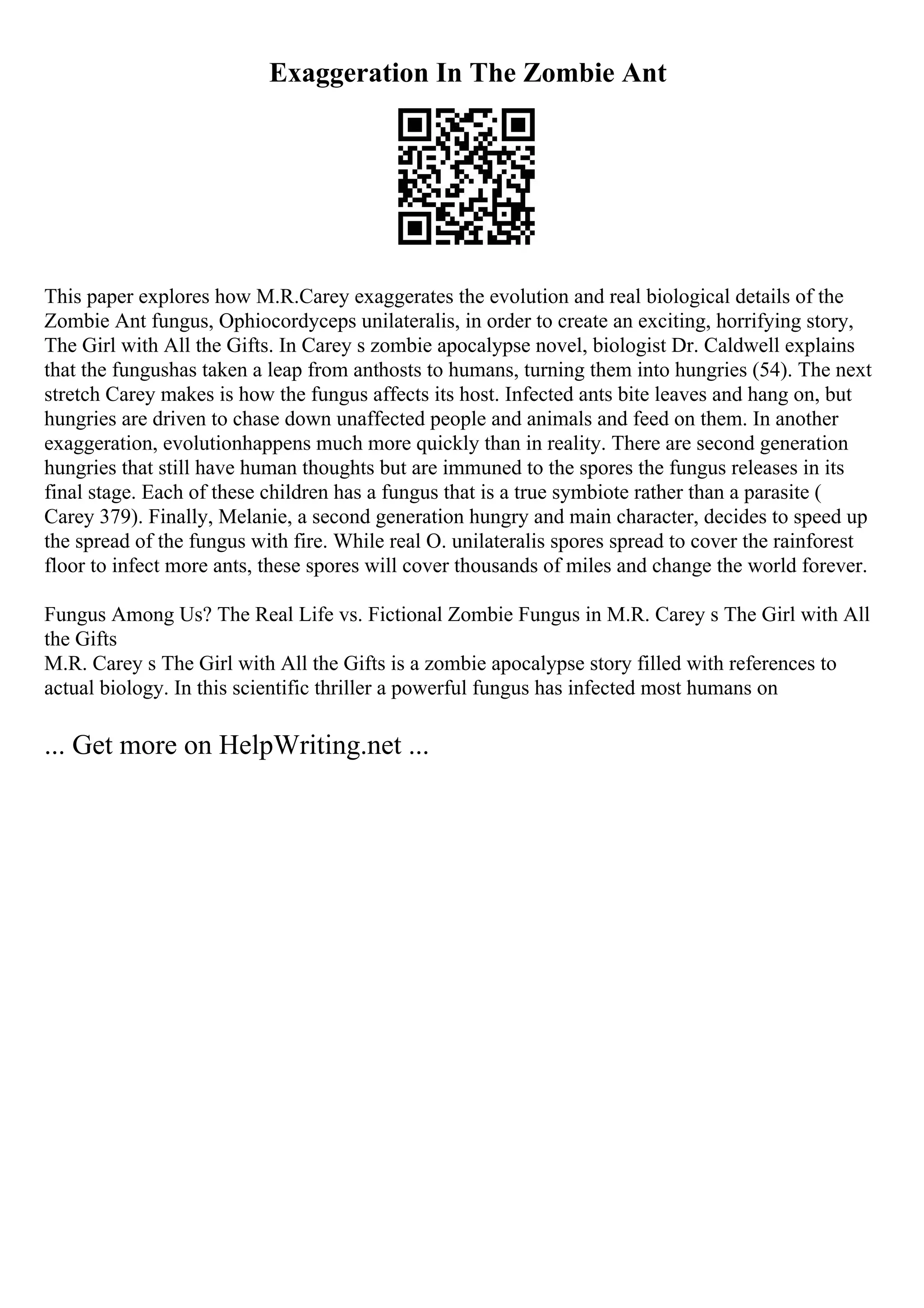 Basic 5 Paragraph Essay Rubric | PDF