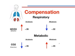 Basic ABG Interpretation | PPT
