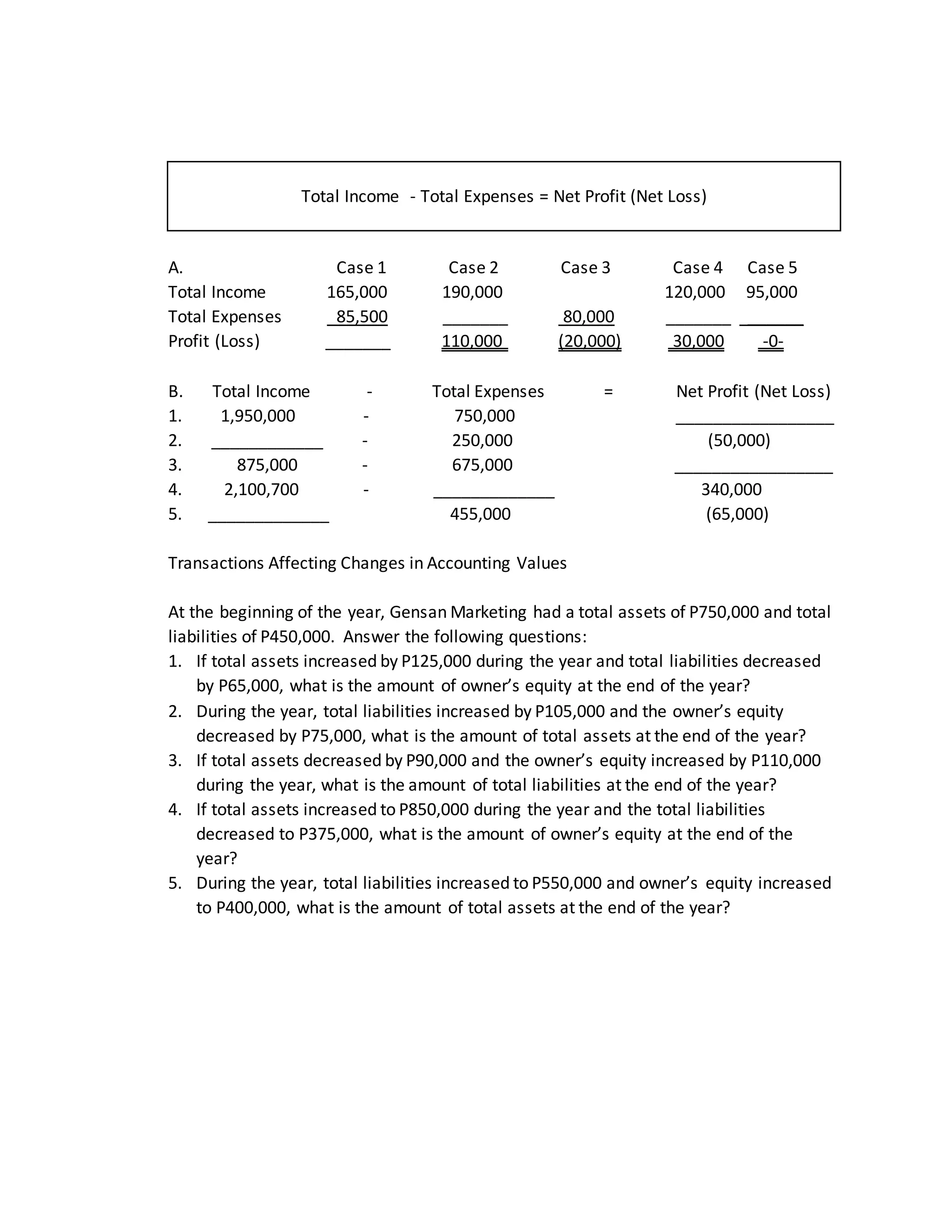 Basic accounting equation activity | DOCX