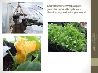 Basic agricultural practices | PPTX