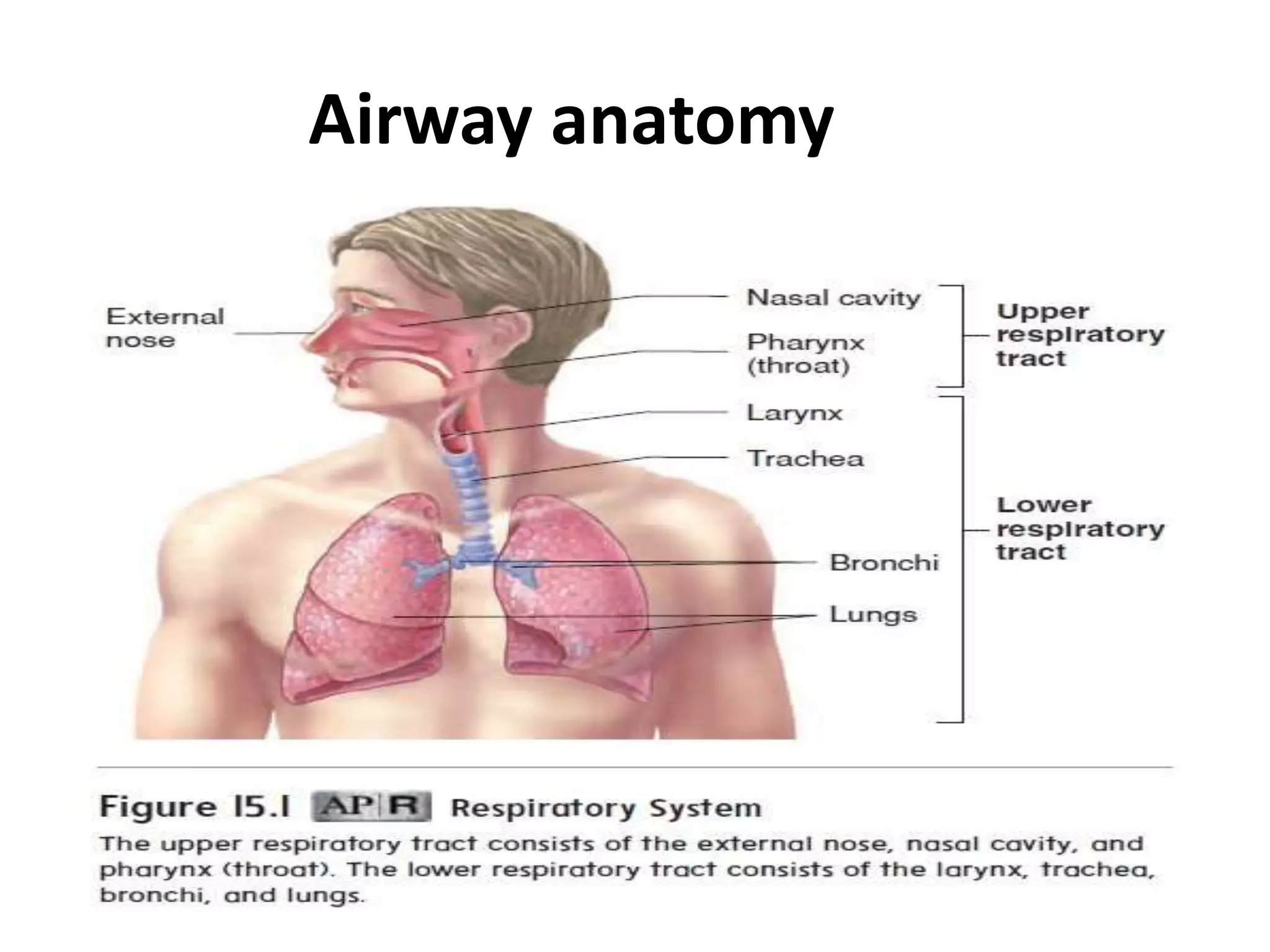 Basic Airway management.pptx