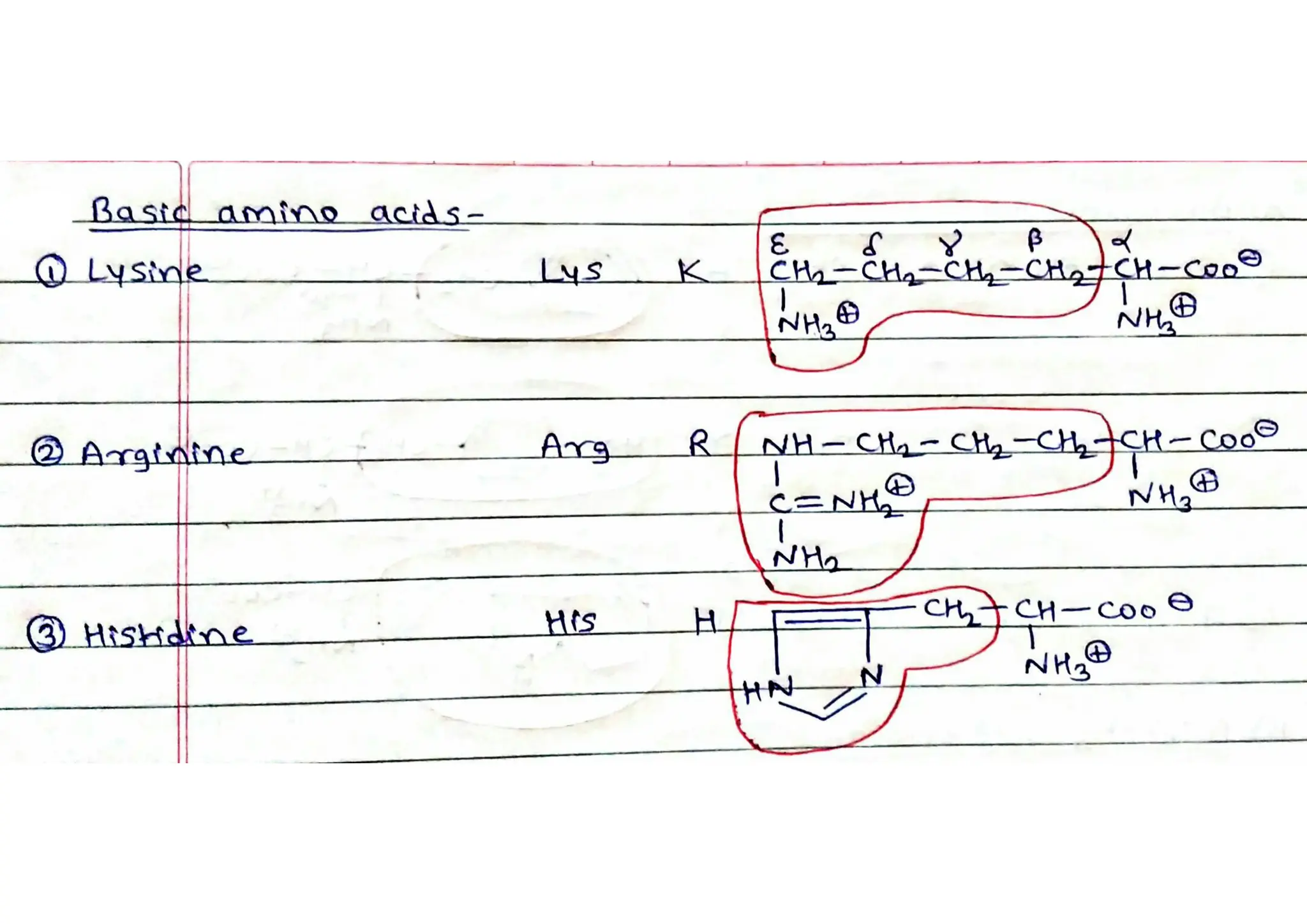 Basic Amino acids | PDF | Chemistry | Science