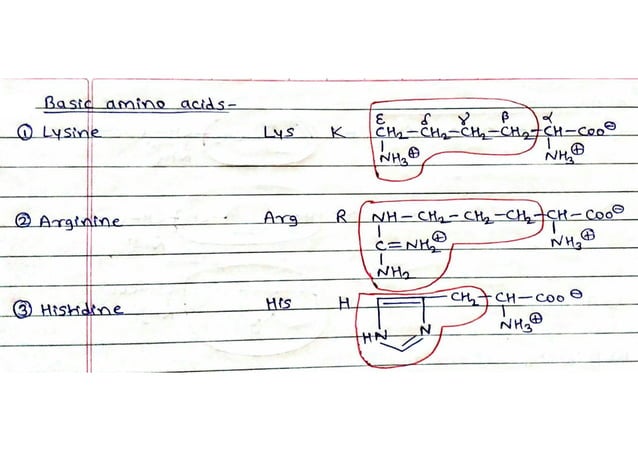 Basic Amino acids | PDF | Chemistry | Science