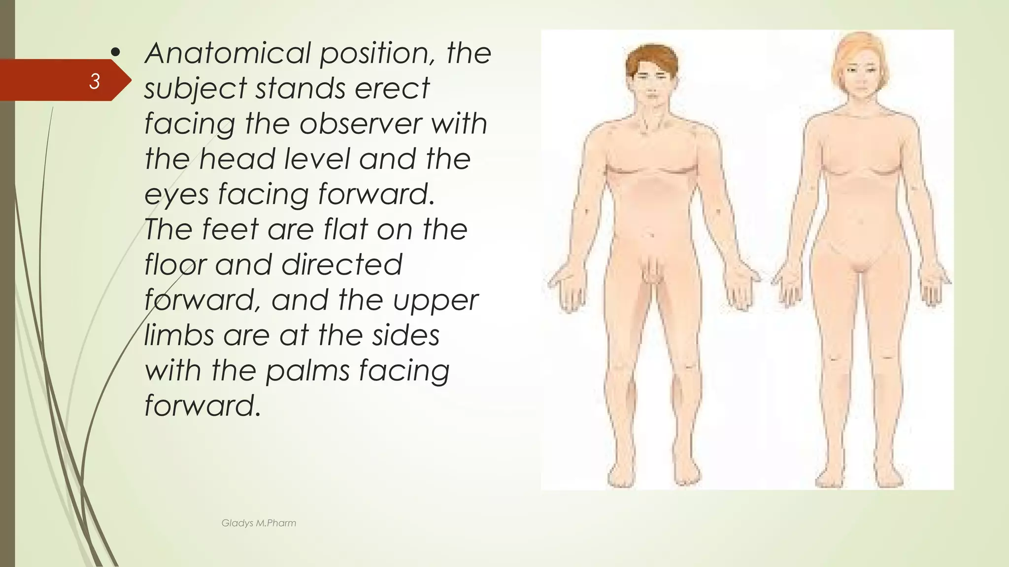 Basic anatomical terminology | PPT