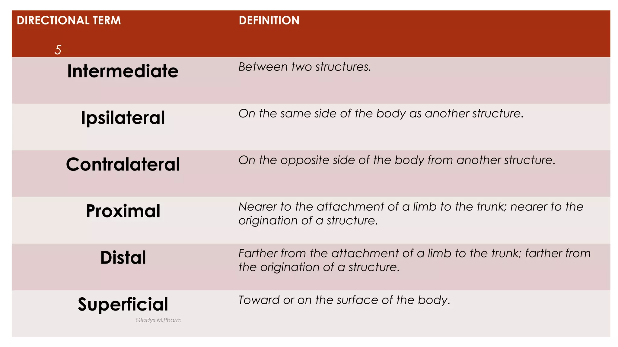 Basic anatomical terminology | PPT
