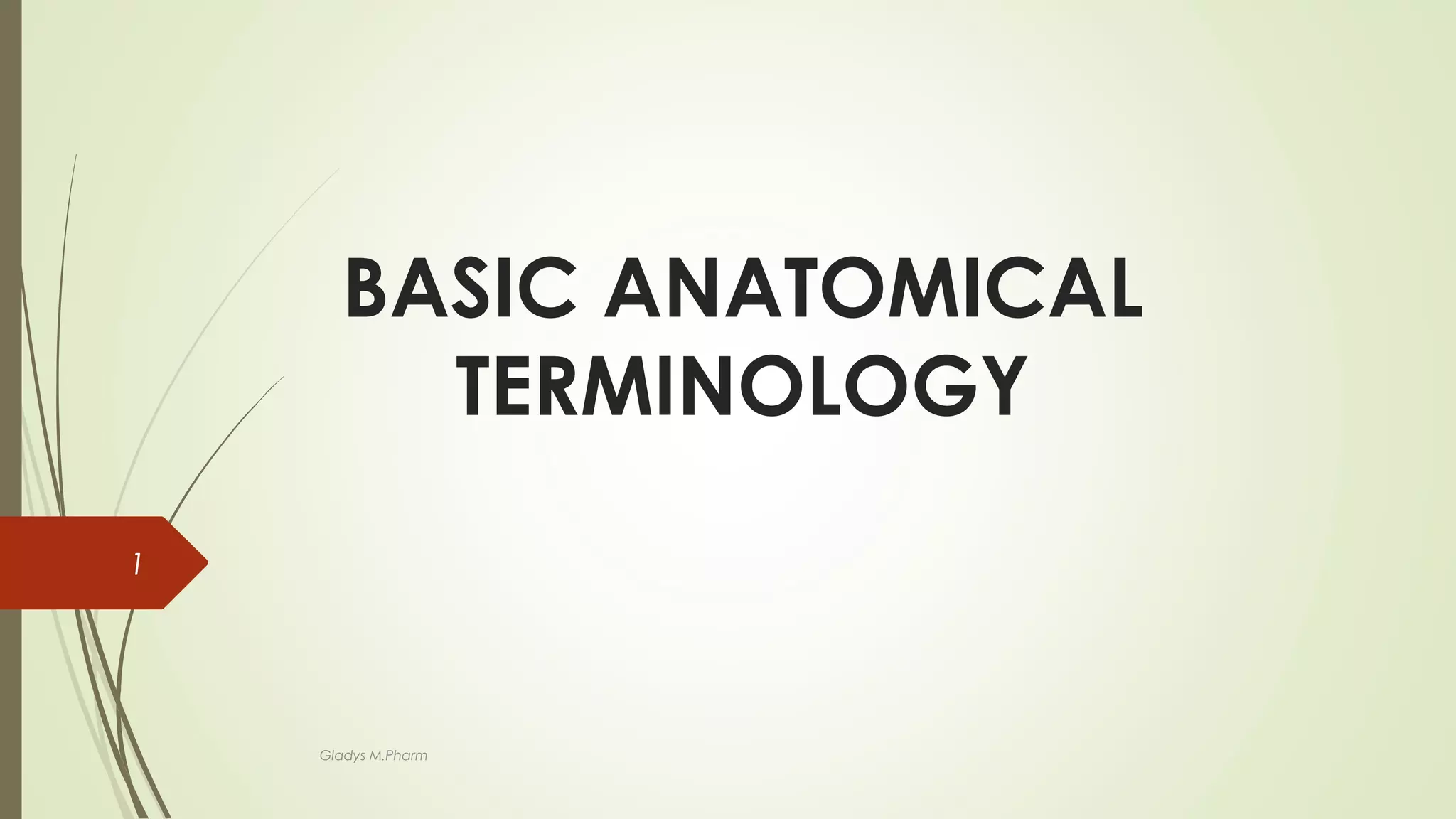 Basic anatomical terminology | PPT