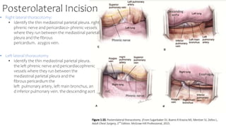 basic anatomi for toracic surgery 1.pptx