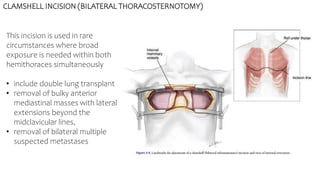 basic anatomi for toracic surgery 1.pptx