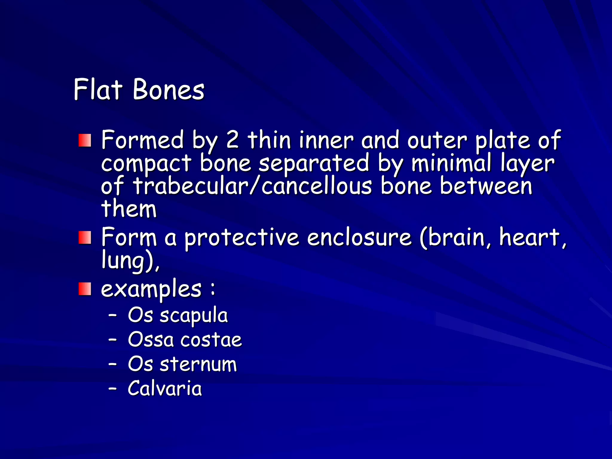B asic anatomy SEMESTER 2 kd 2 anatomy | PPTX