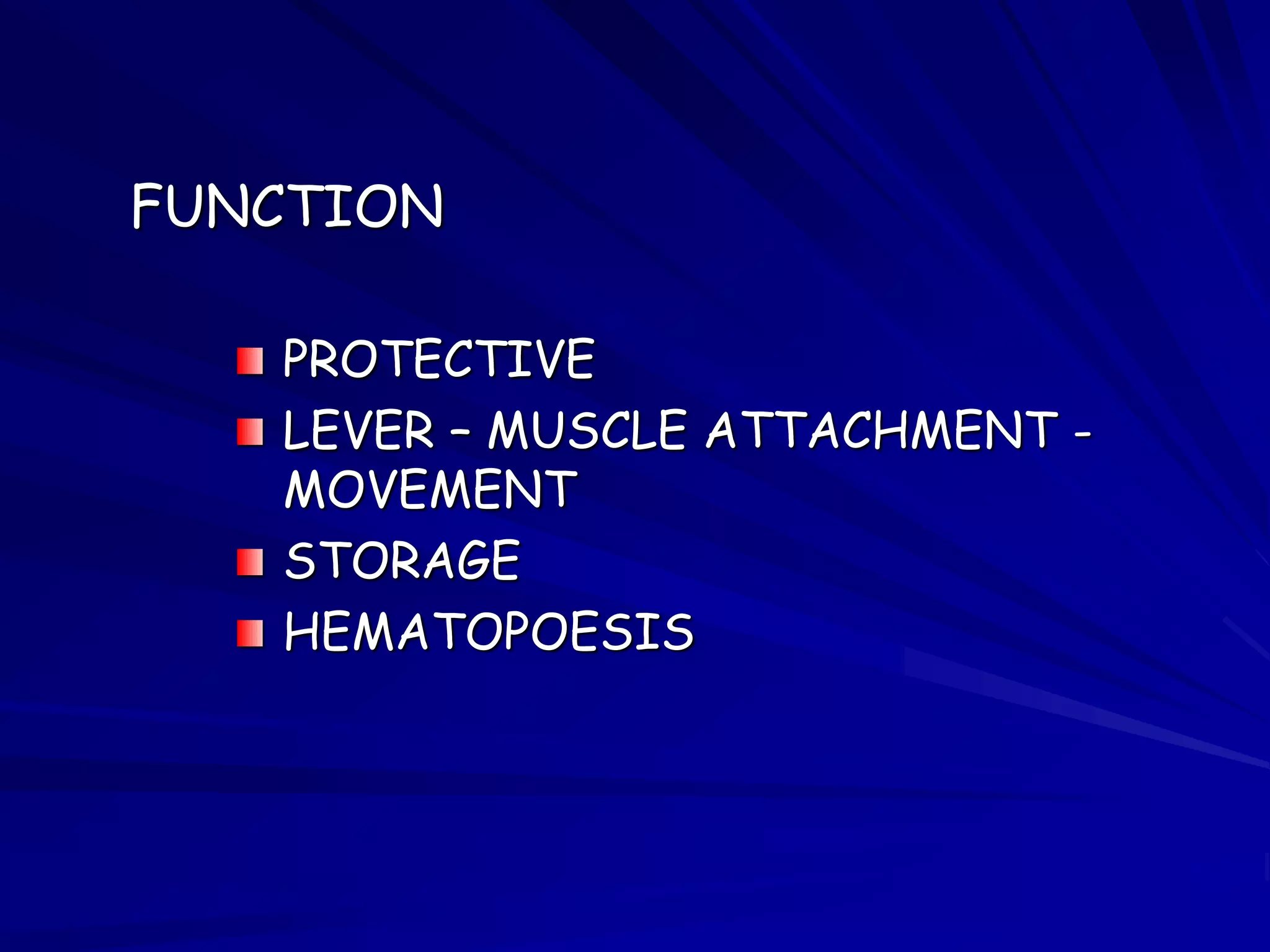 B asic anatomy SEMESTER 2 kd 2 anatomy | PPTX