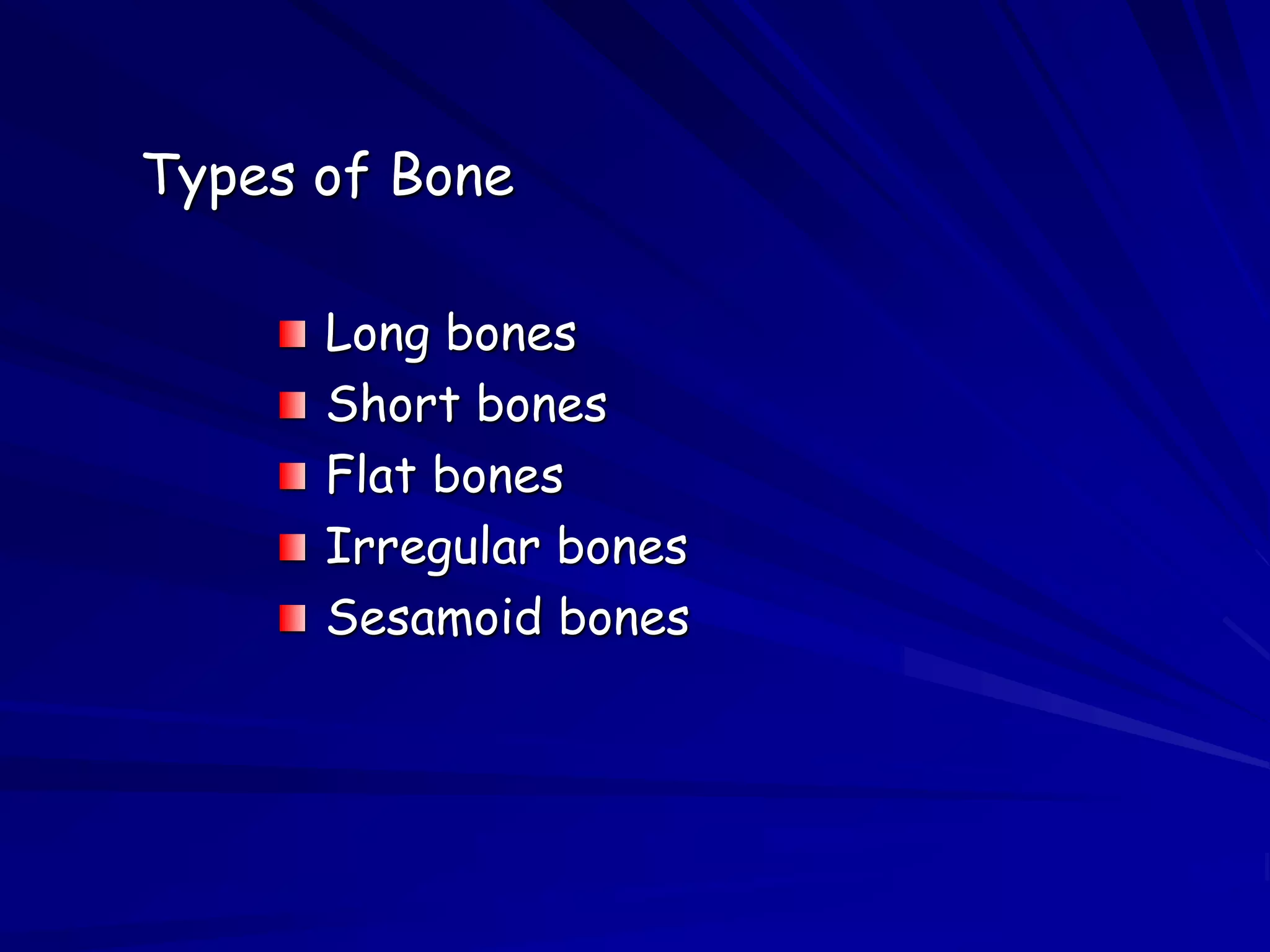 B asic anatomy SEMESTER 2 kd 2 anatomy | PPTX
